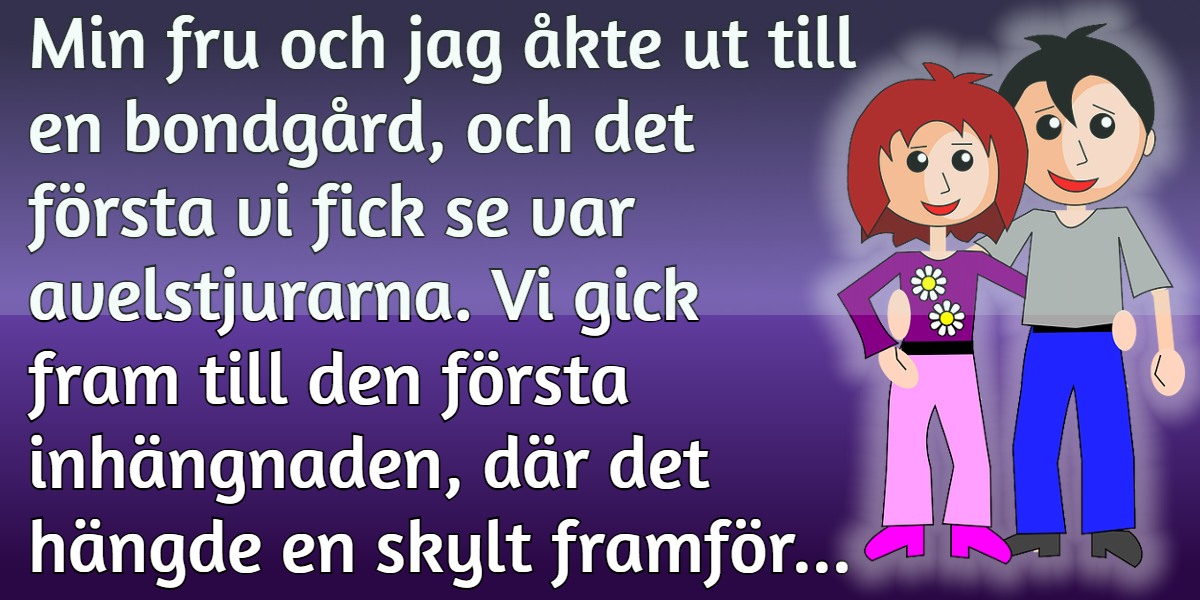 Jag fick en massa jobbiga kommentarer av min fru - se bara min ...